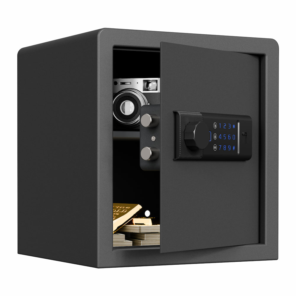 Biometric Home Safe with Fingerprint Digital Lock for Cash & Jewelry ...