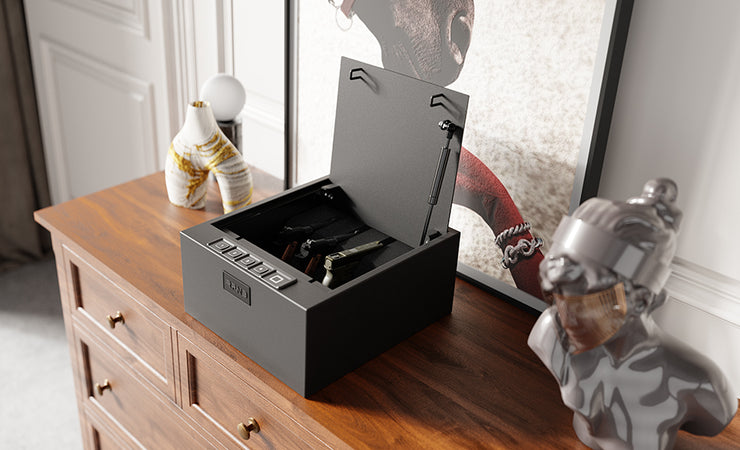 Biometric Handgun & Pistol Safe, Home Safe, Rifle Safe | RPNB Safe